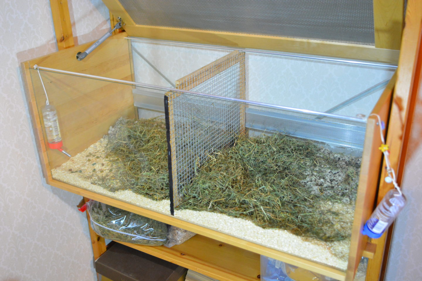 Introducera gerbiler med ”split cage” metoden – Gerbil & Hamster
